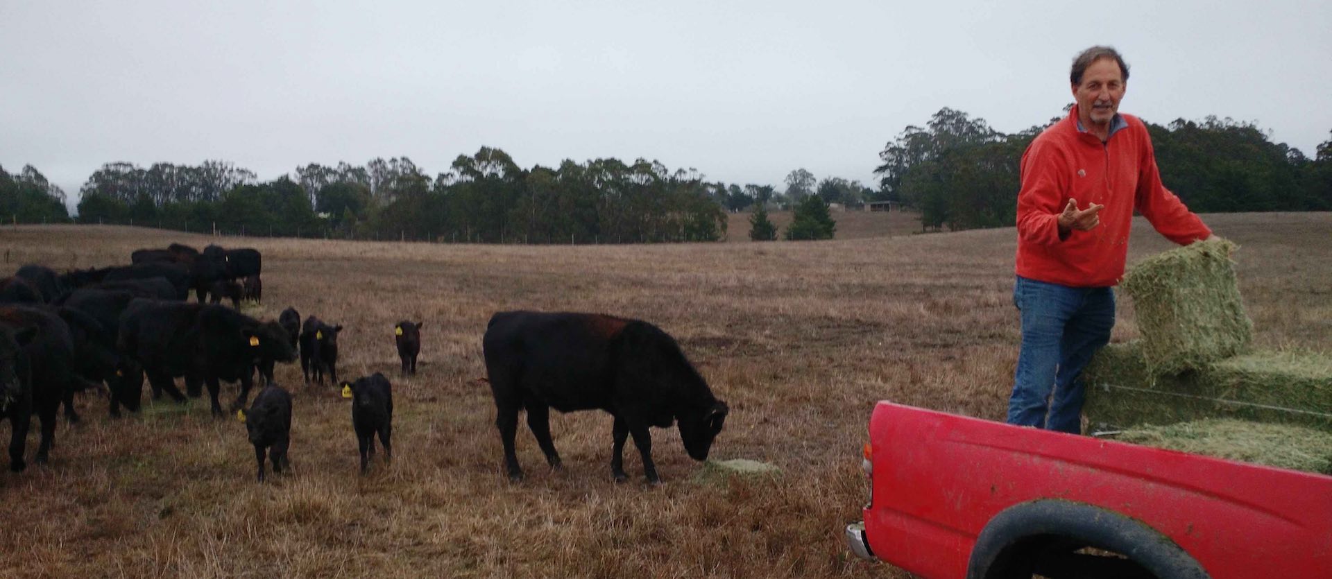 Ep. 3 Bill Niman: Elevated Standards Pioneer – Sourcing Matters.show