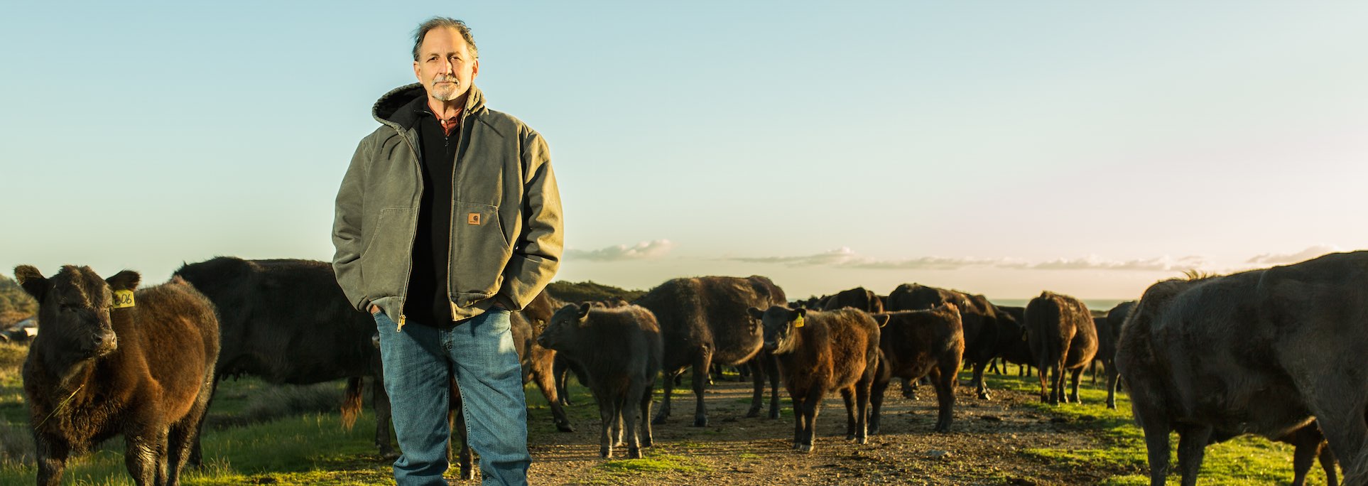 Ep. 3 Bill Niman: Elevated Standards Pioneer – Sourcing Matters.show